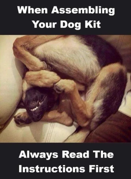 Hilarious Animal Memes - TheSpicyChefs