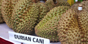 40 Most Hated Foods in the Entire World - TheSpicyChefs