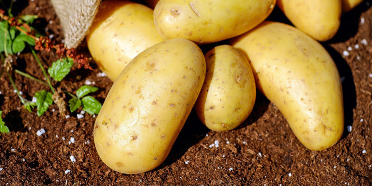 The Soft Food Diet: 20 Smooth Foods You Barely Have To Chew - TheSpicyChefs