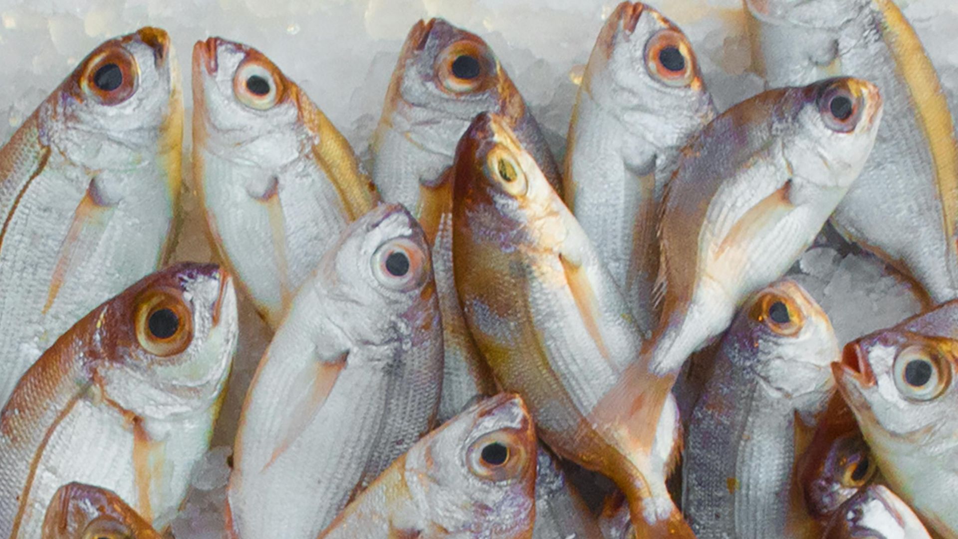 20 Of The Strangest Food Phobias Ever - TheSpicyChefs