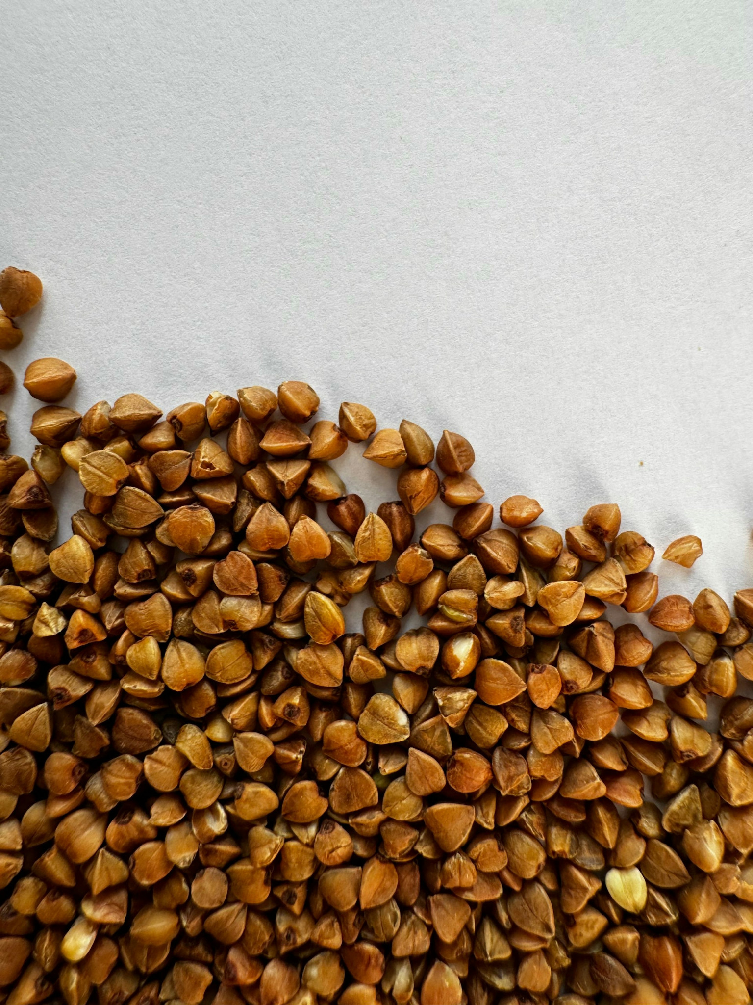 Health Is Wealth: The Most Well-Rounded Foods To Add To Your Diet ...