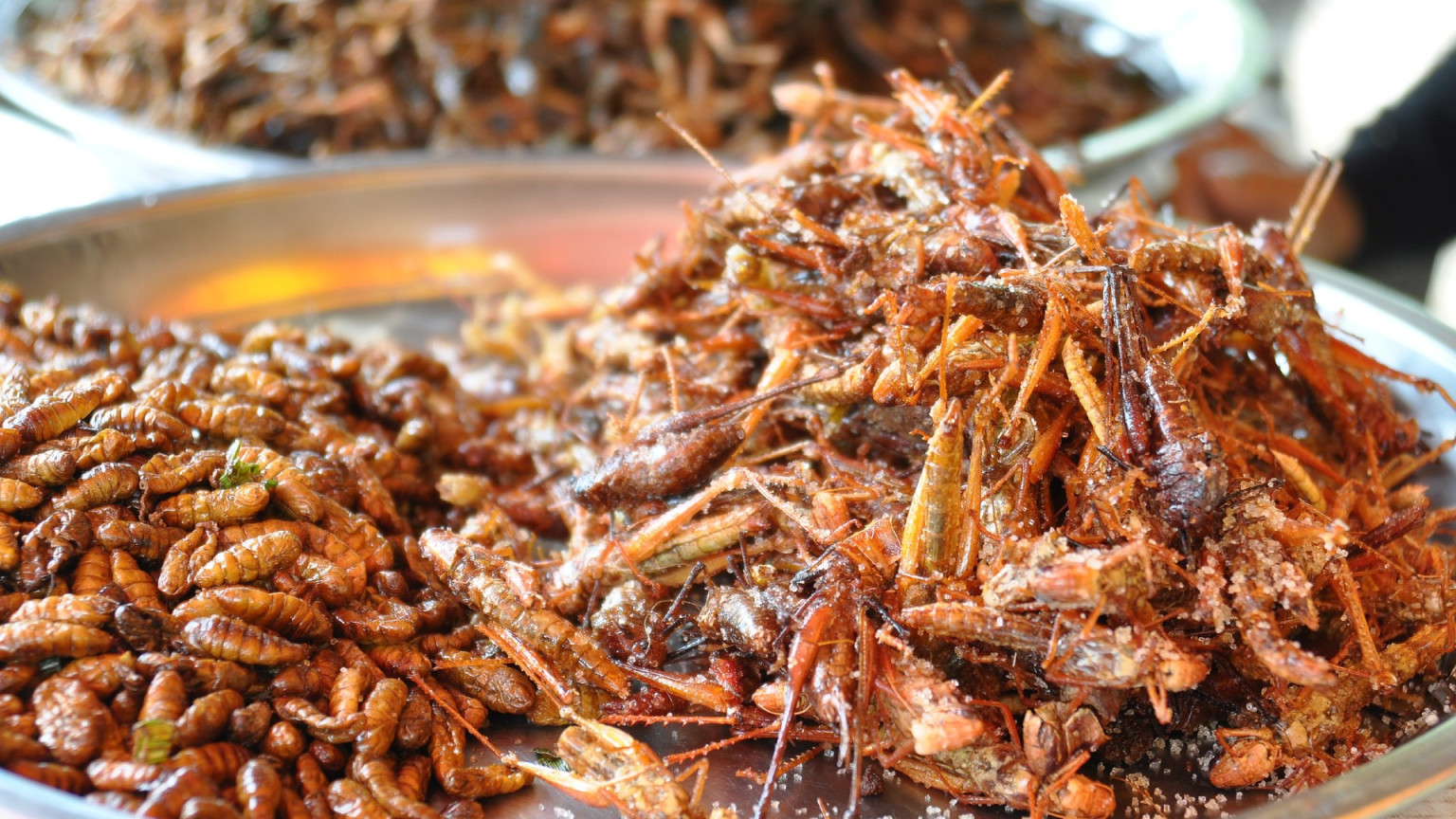 20 Exotic Meats You’ve Never Tried Before - TheSpicyChefs