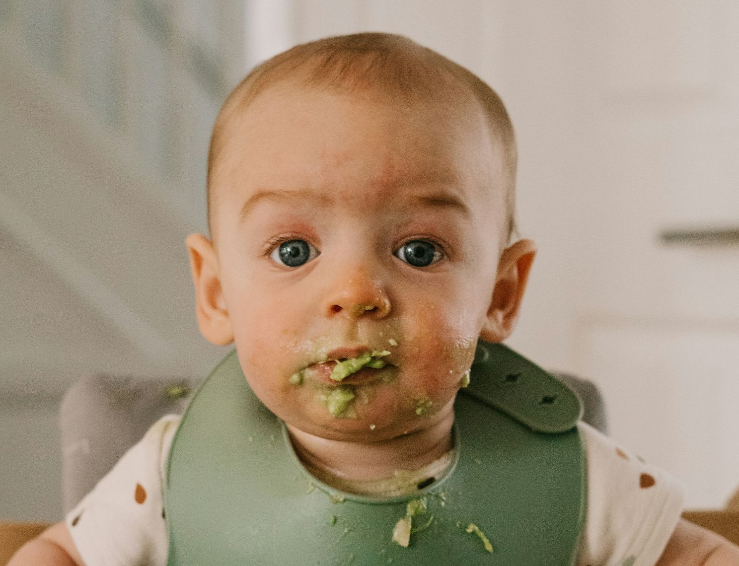 Gerber Once Tried To Make Adult Baby Food, And No, It Didn’t Go Well ...