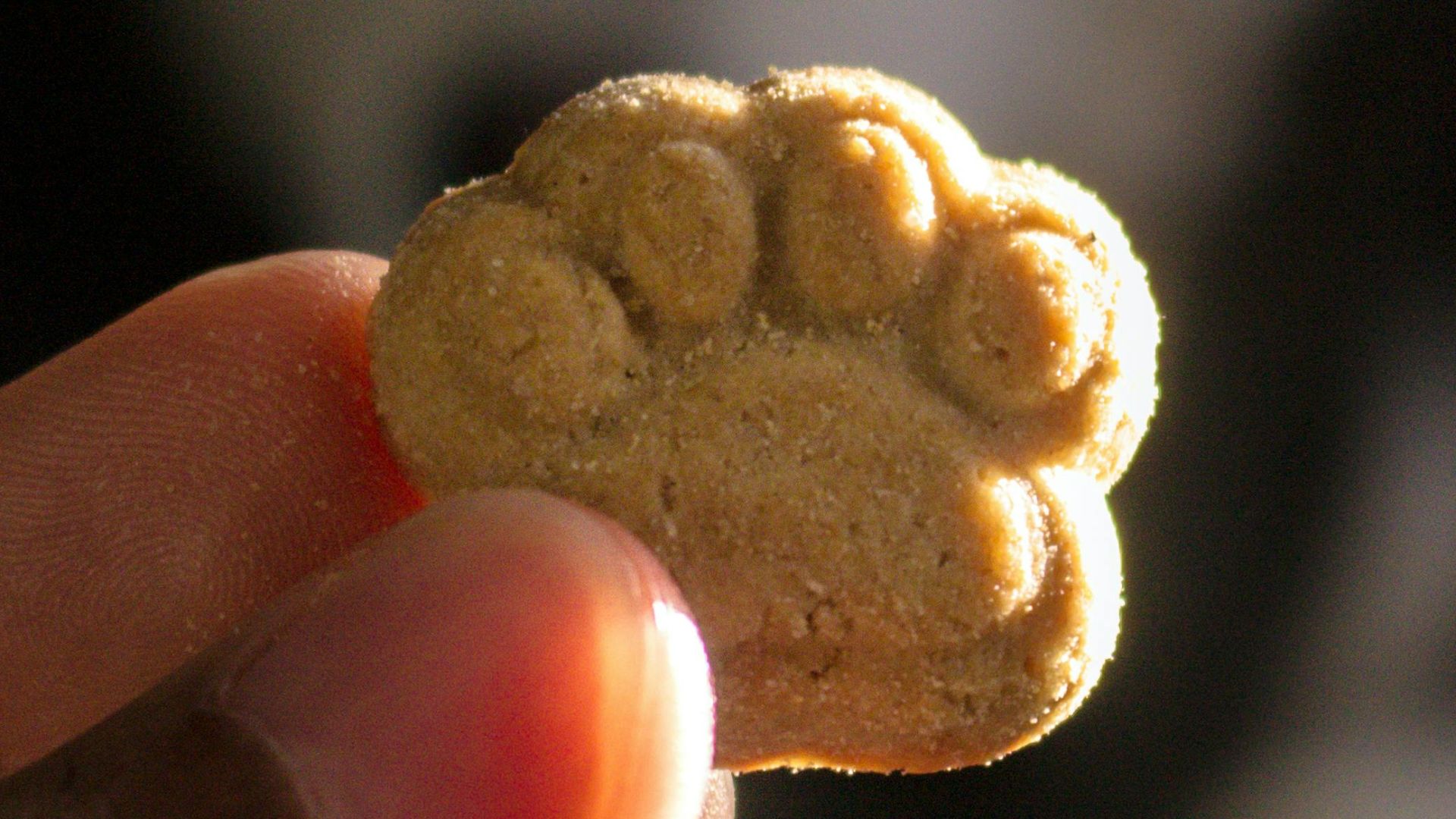 20 Easy Homemade Snacks You Can Make For Your Dog - TheSpicyChefs