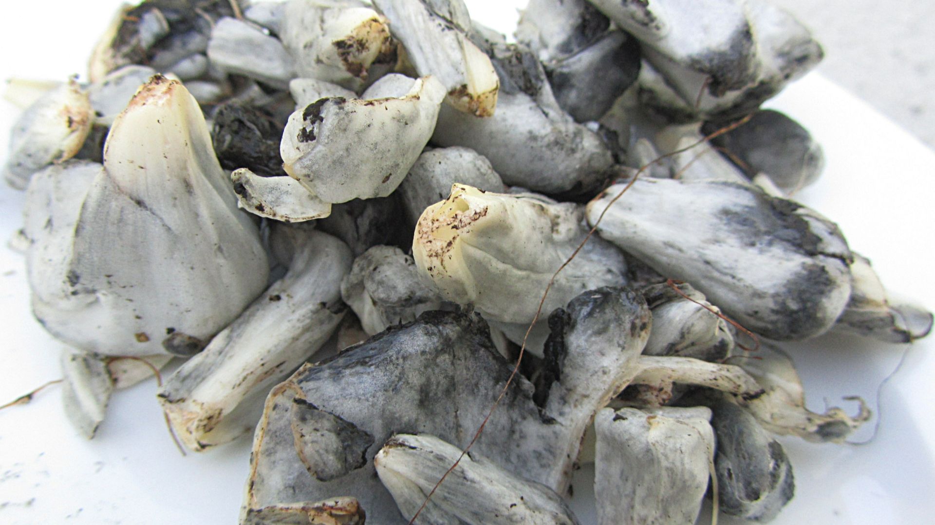 10 Gross Snacks People Hate & 10 They Can’t Get Enough Of - TheSpicyChefs