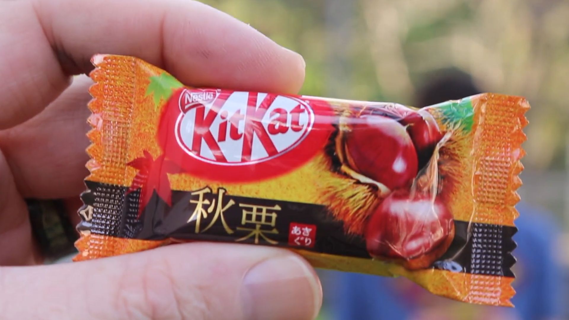 20 Craziest Kit Kat Flavours - TheSpicyChefs