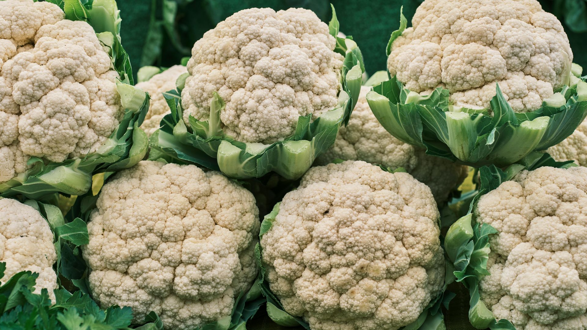 20 Foods That Taste Like Nothing - TheSpicyChefs