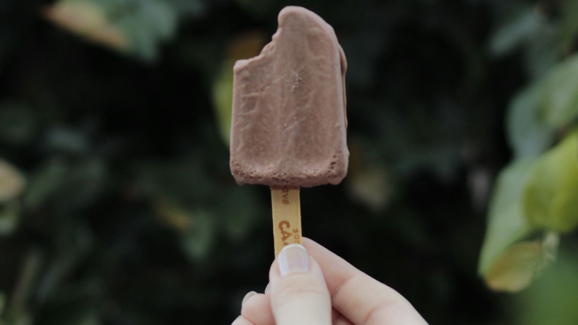 10 Worst Popsicle Brands To Skip & 10 Premium Ones To Enjoy - TheSpicyChefs