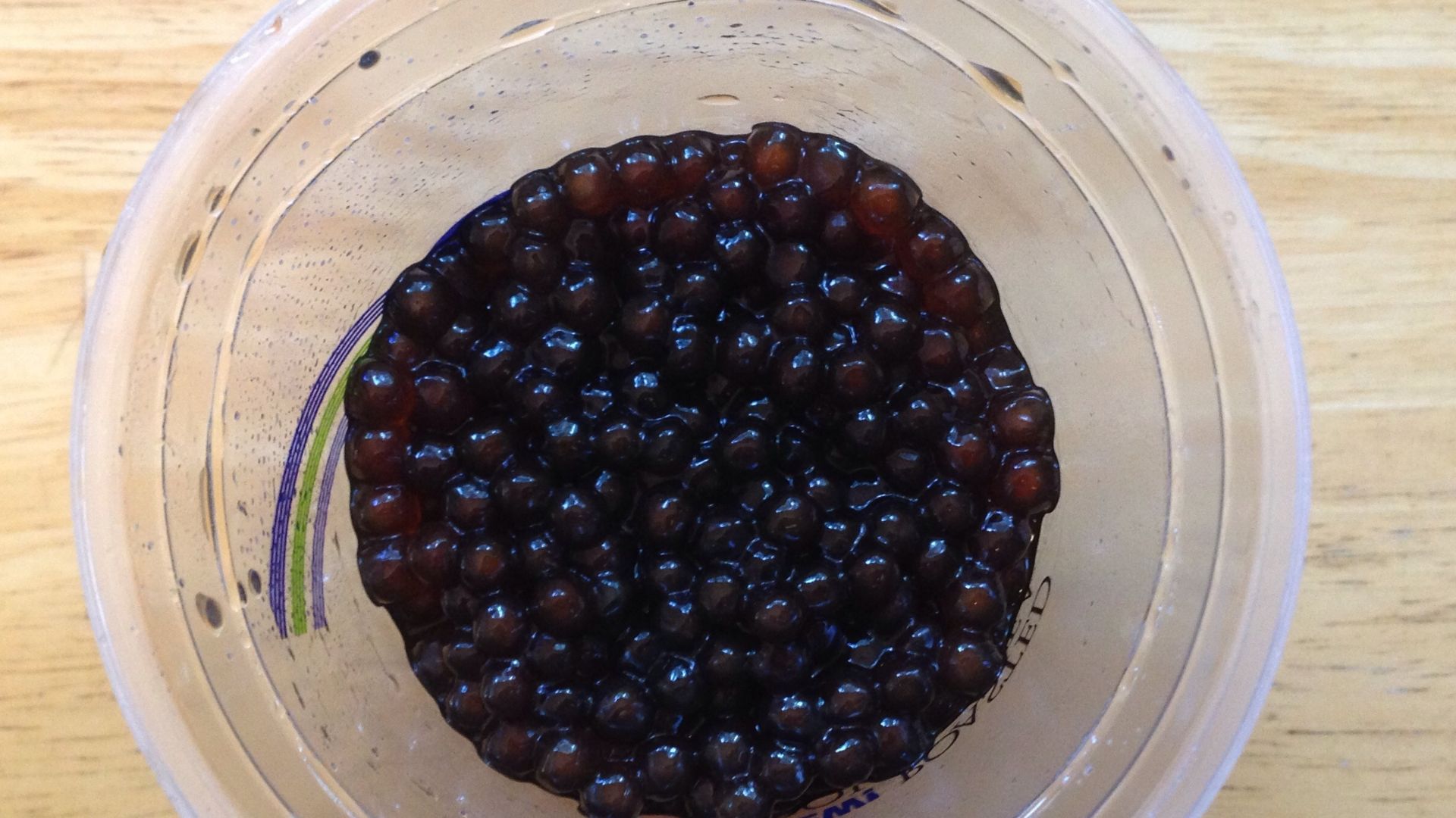 The 10 Best Boba Flavors & The 10 Best Toppings - TheSpicyChefs