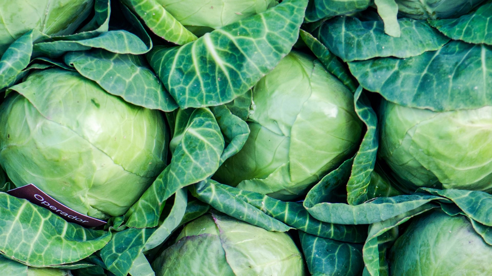 Hated & Loved Vegetables - TheSpicyChefs