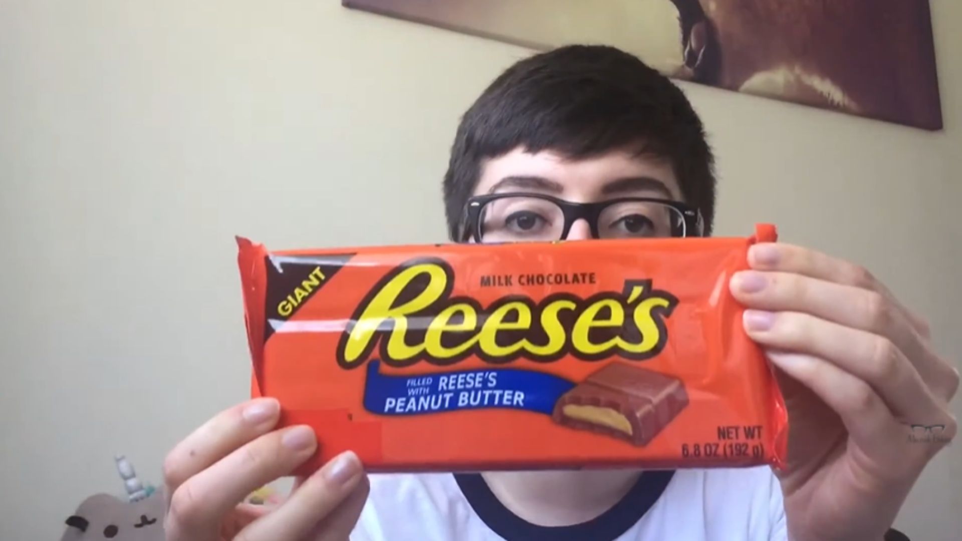 The 10 Worst Chocolate Bars & 10 That Always Hit The Spot - TheSpicyChefs