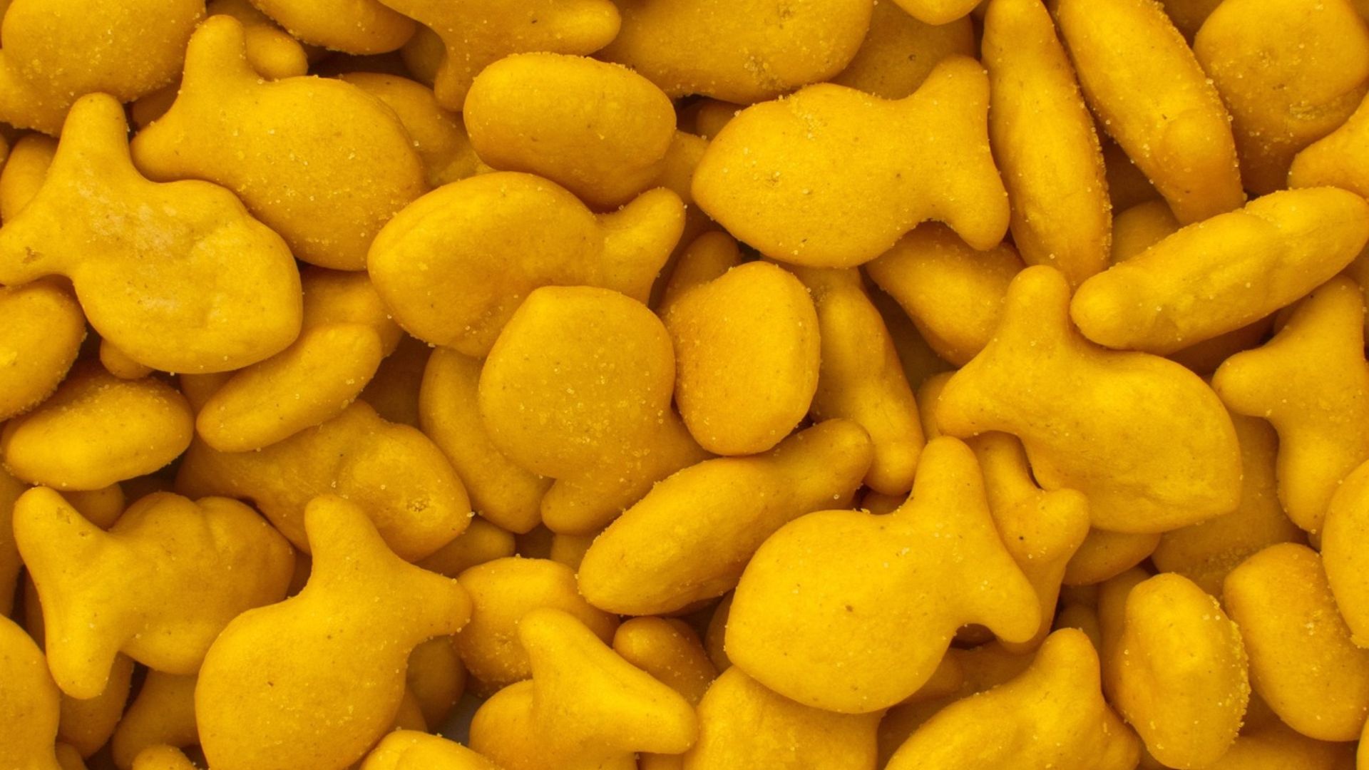 20 Indispensable Gamer Snacks - TheSpicyChefs