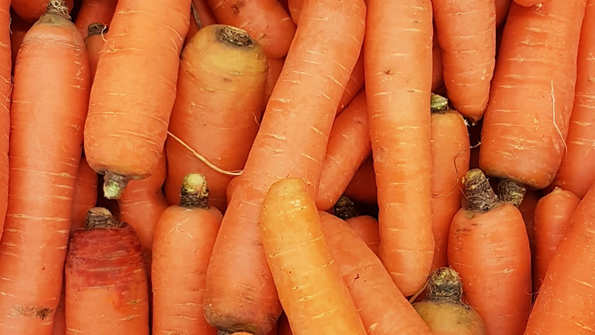 20 Foods Served To Jail Inmates In The US - TheSpicyChefs